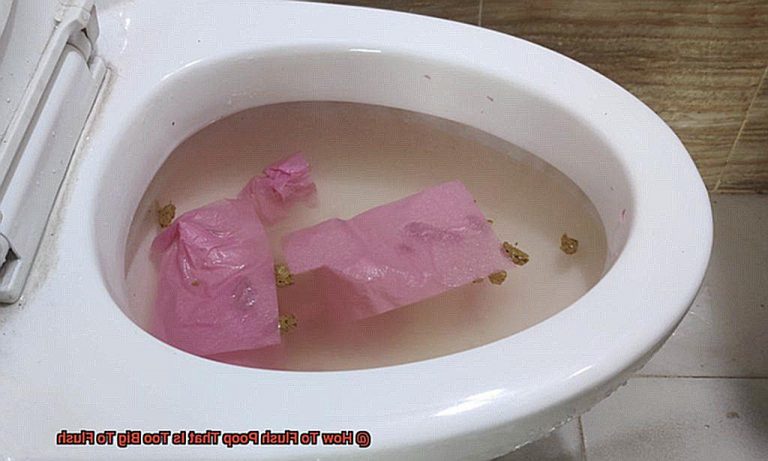 How To Flush Poop That Is Too Big To Flush? - Scotts Home Improvement