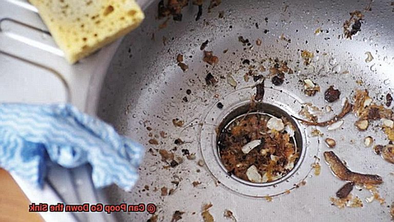 Can Poop Go Down the Sink? - Scotts Home Improvement