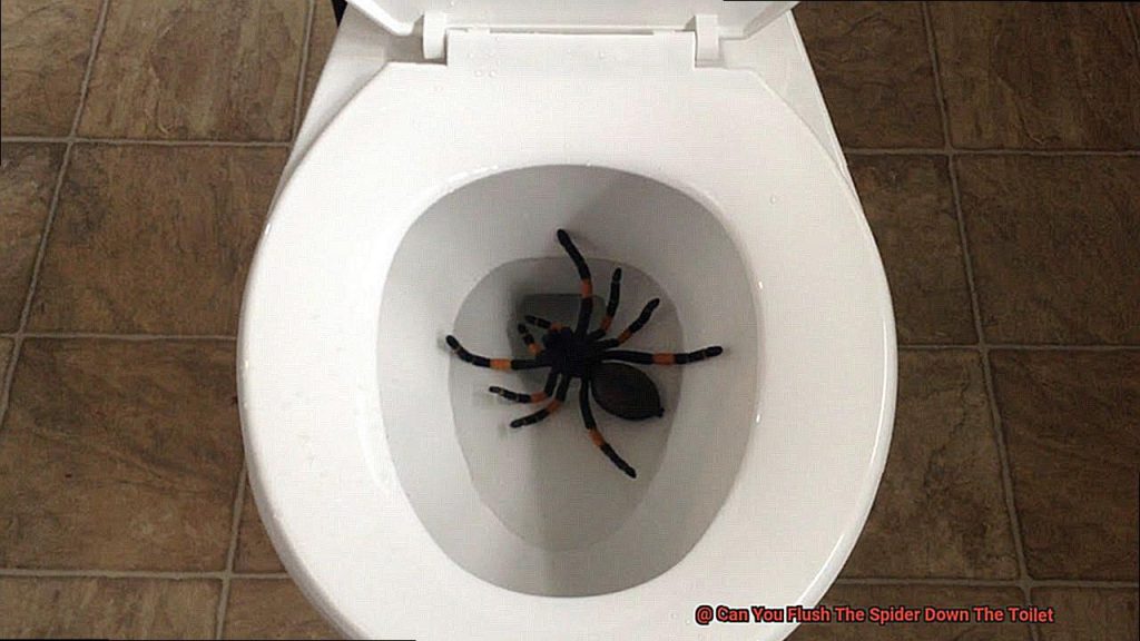 Can You Flush The Spider Down The Toilet? - Scotts Home Improvement